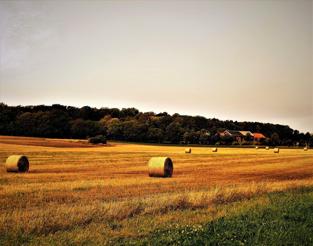 Field Cloud Hay - Free photo on Pixabay - Pixabay