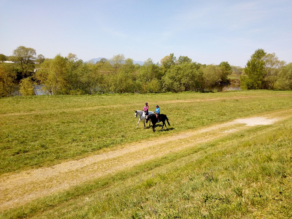 Pferde Reiten Natur - Kostenloses Foto auf Pixabay - Pixabay