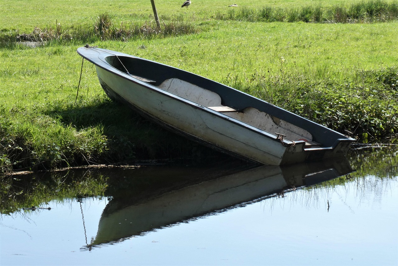 600+ Free Ditch & Nature Images - Pixabay