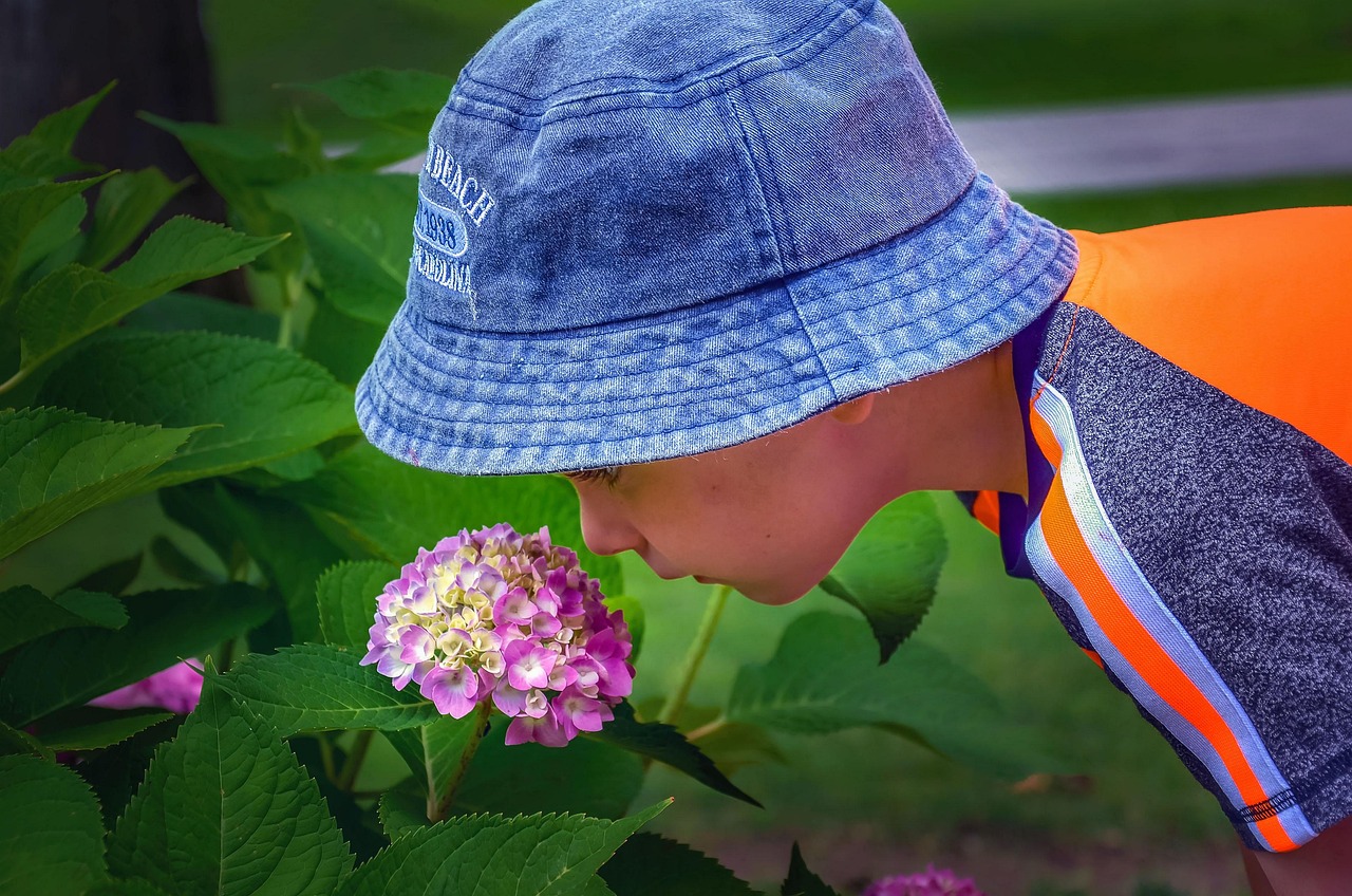 50,000+ Free Boy With Flowers & Boy Images - Pixabay
