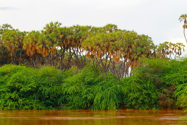 8+ Free Somalia & Tanzania Photos - Pixabay