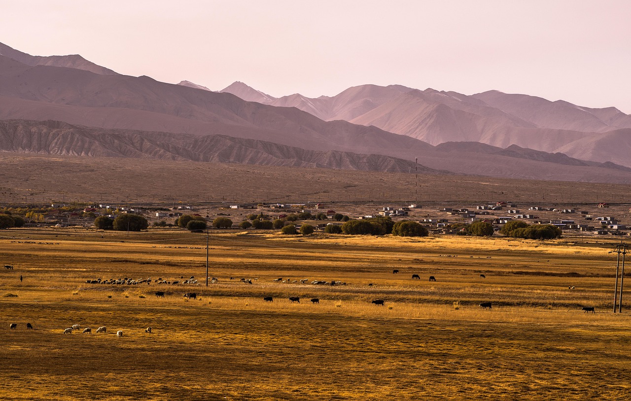 超过 2000 张关于“Gobi Plateau”和“戈壁”的免费图片 - Pixabay