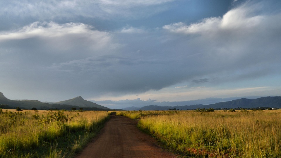 South Africa Nature Mlilwane - Free photo on Pixabay