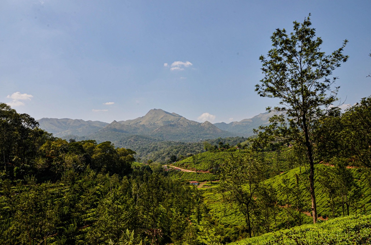 30+ Free Wayanad & Kerala Images - Pixabay