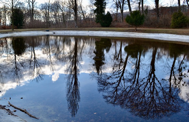 Pond Water Reflection - Free photo on Pixabay - Pixabay