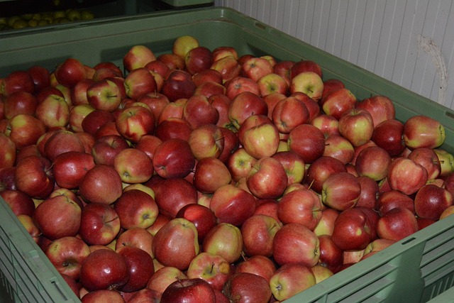 Apples Apple Crate - Free photo on Pixabay - Pixabay