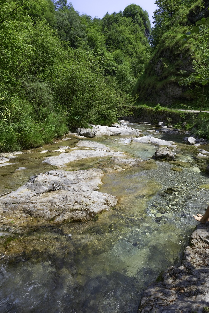 Water Torrent Waterfall - Free photo on Pixabay - Pixabay
