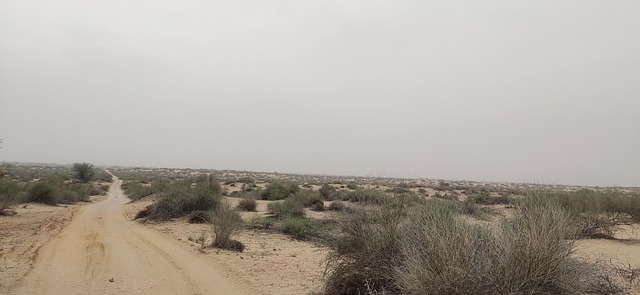 Thar Gurun Rajasthan Jalan Di - Foto gratis di Pixabay - Pixabay