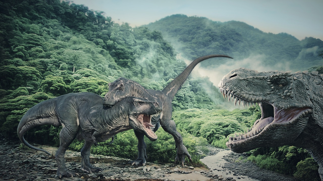 20+ kostenlose Trex ชายหาด & Trex Fotos - Pixabay