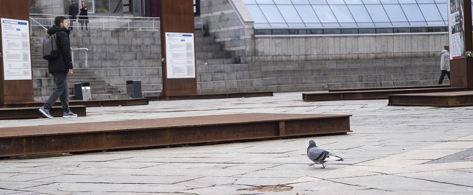 Bird Metal Pigeon - Free photo on Pixabay - Pixabay