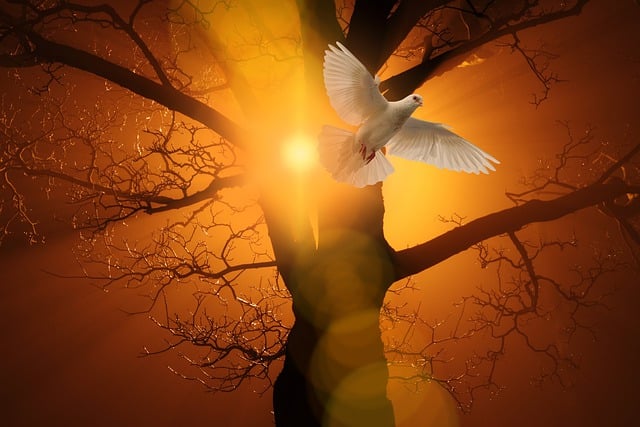 10,000+ Free Pentecost Holy & Holy Spirit Images - Pixabay