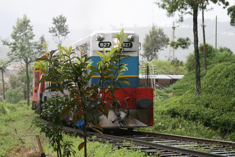 Tea Train Lanka - Free photo on Pixabay - Pixabay