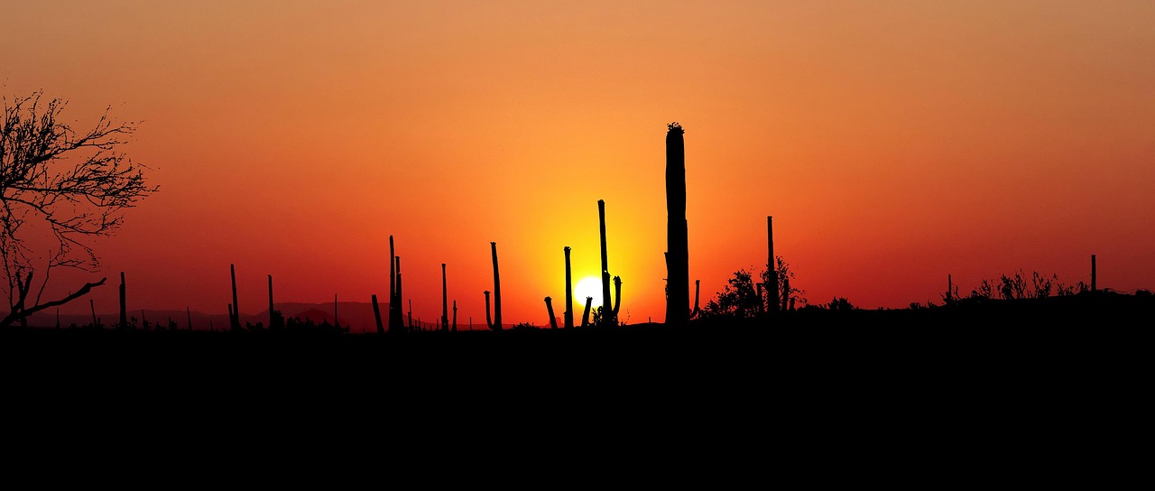 Pôr Do Sol Arizona América Parque - Foto gratuita no Pixabay - Pixabay