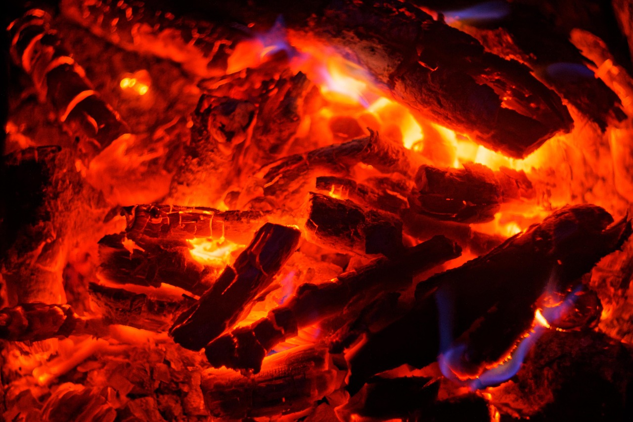 Coals Fire Tree - Free photo on Pixabay