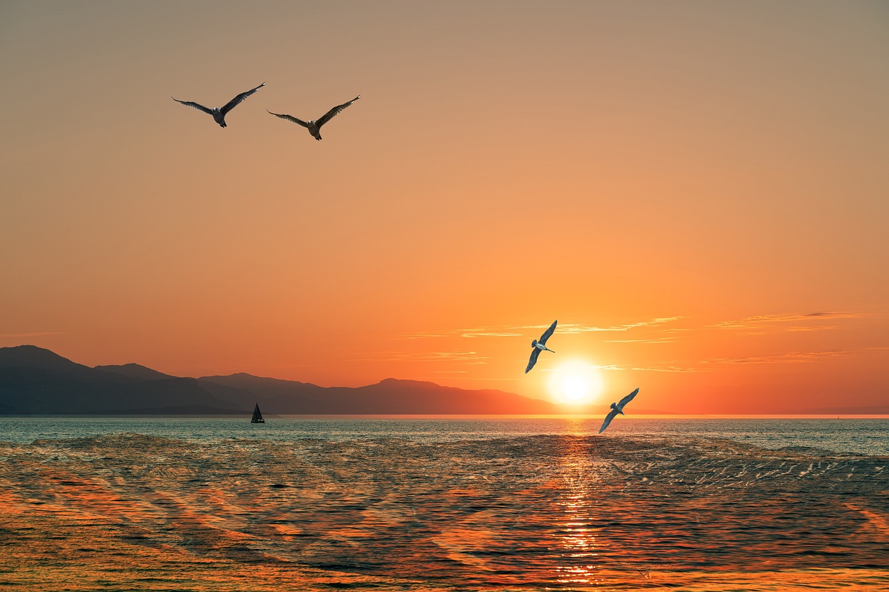Lever De Soleil Matinée Mer - Photo gratuite sur Pixabay - Pixabay