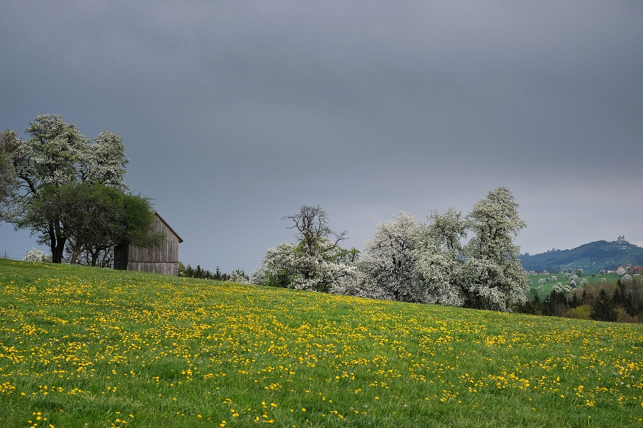 Nature Landscape Meadow - Free photo on Pixabay