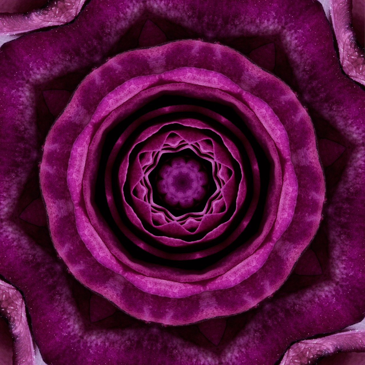 Más de 10 000 imágenes gratis de Mandalas y Decoración - Pixabay