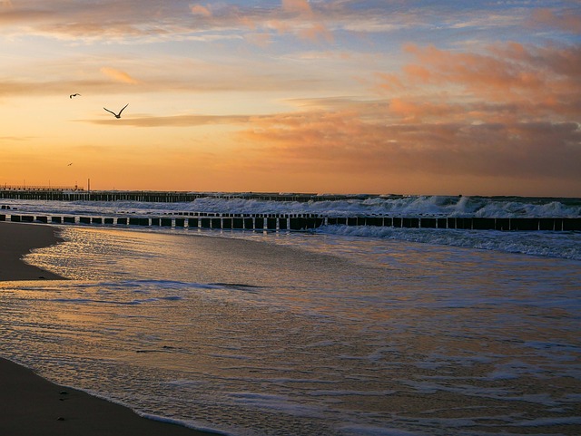 La Mer Baltique Plage - Photo gratuite sur Pixabay - Pixabay