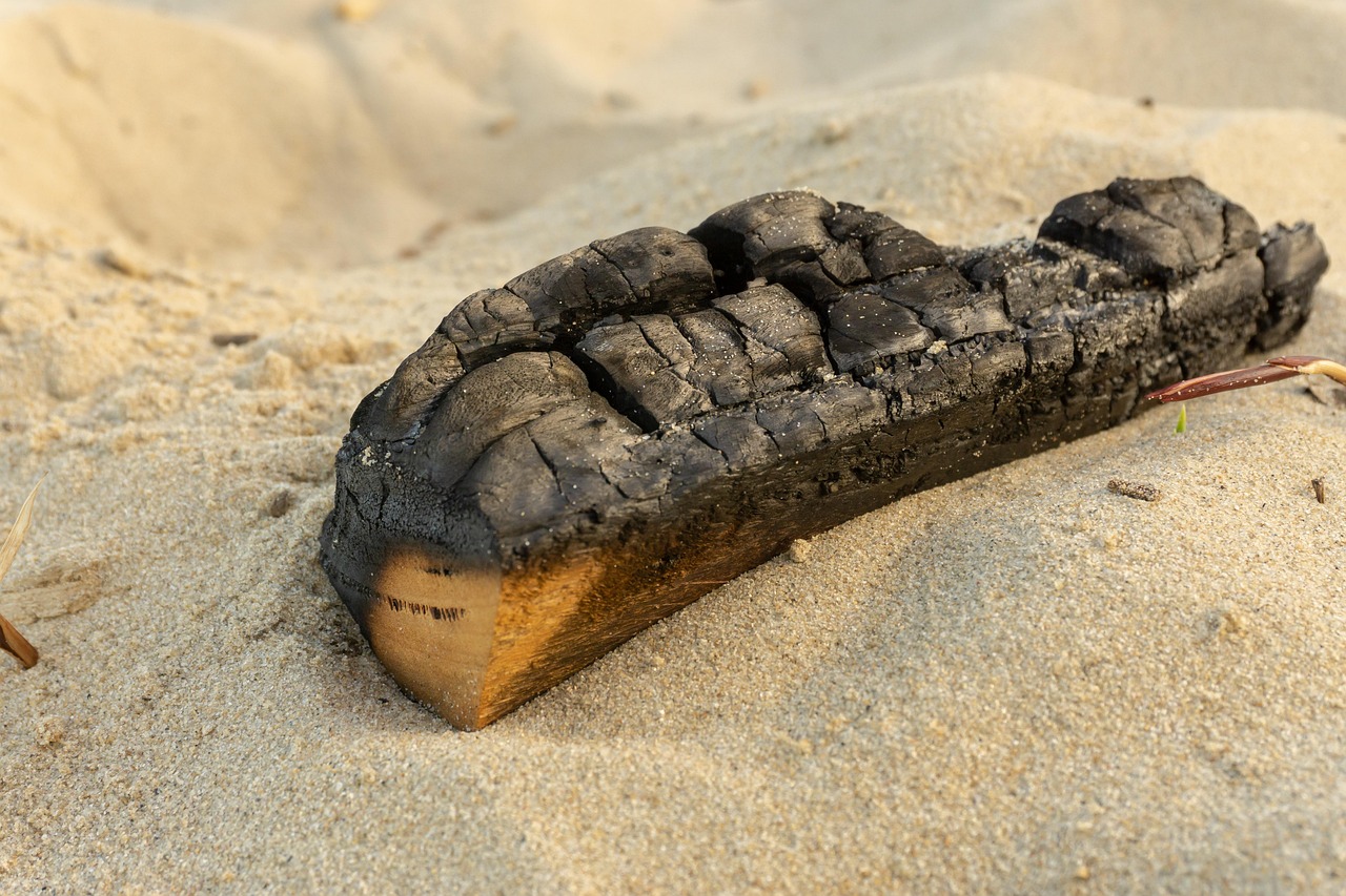 Wood Burnt Beach - Free photo on Pixabay