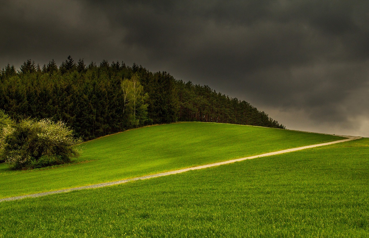 Trovoada Primavera Verde Fresco - Foto gratuita no Pixabay - Pixabay