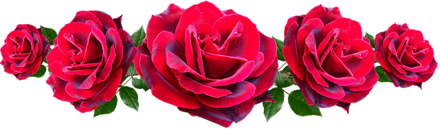 Download Flowers, Red, Roses. Royalty-Free Stock Illustration Image ...