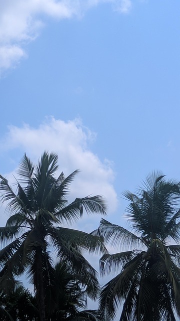 Himmel Fotos - Kostenloses Foto auf Pixabay - Pixabay