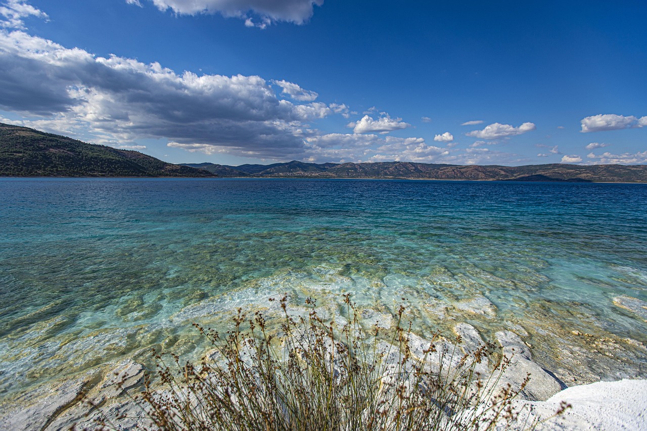 The Lake On Raft That Summer - Free photo on Pixabay