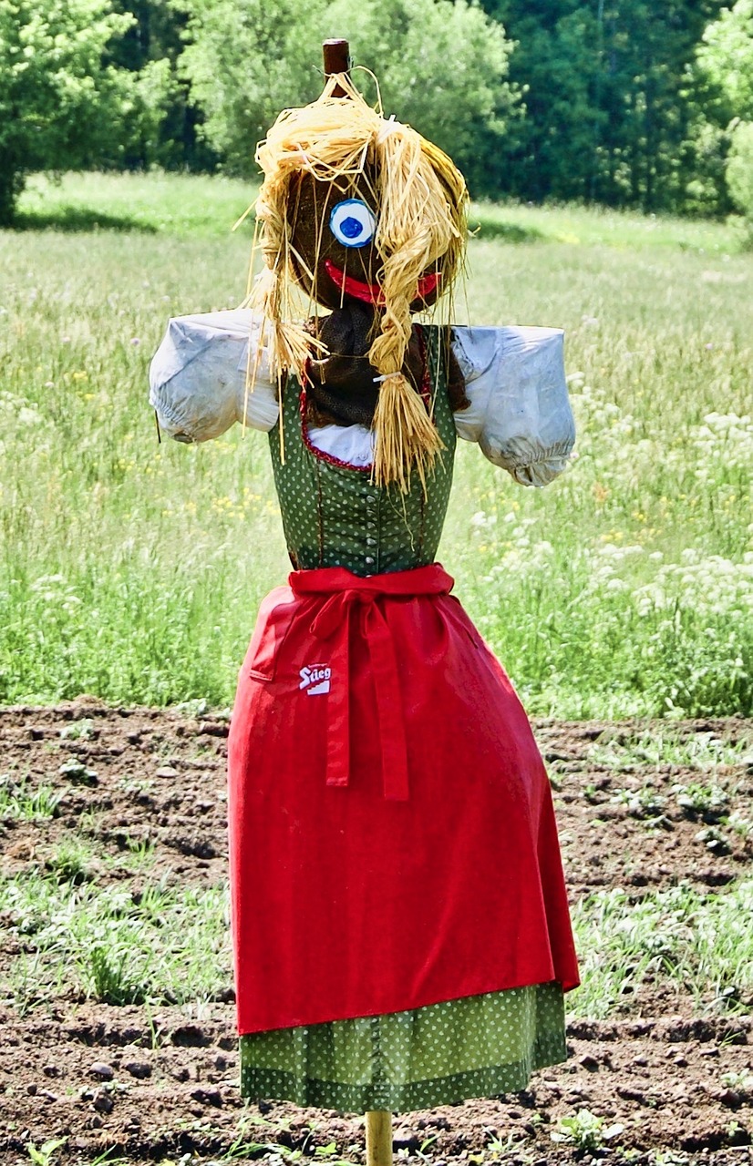 Scarecrow Figure Agriculture Free Photo On Pixabay Pixabay