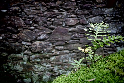 30+ Free Hard Life & Life Photos