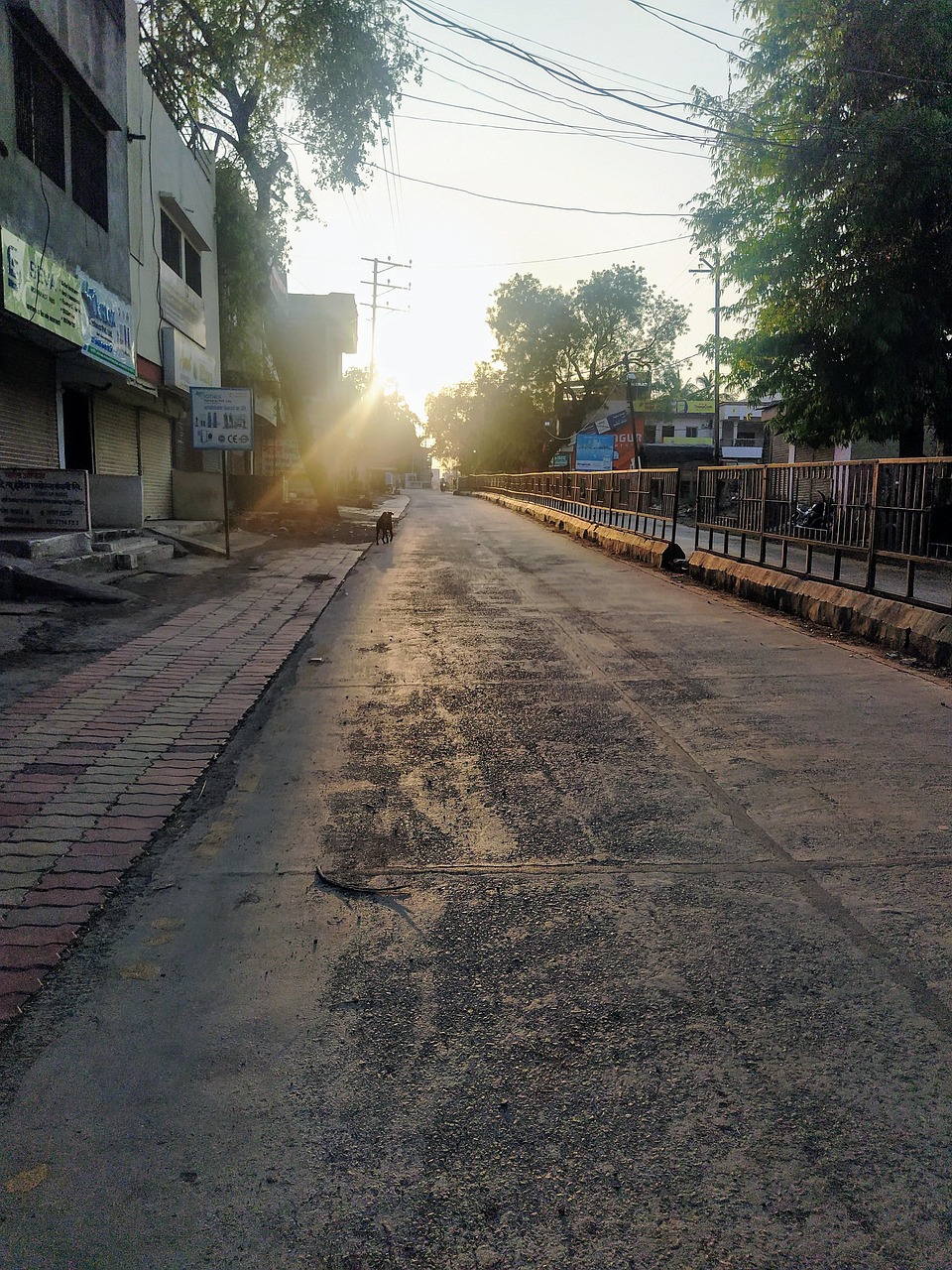 Indian Local Street During - Free photo on Pixabay - Pixabay