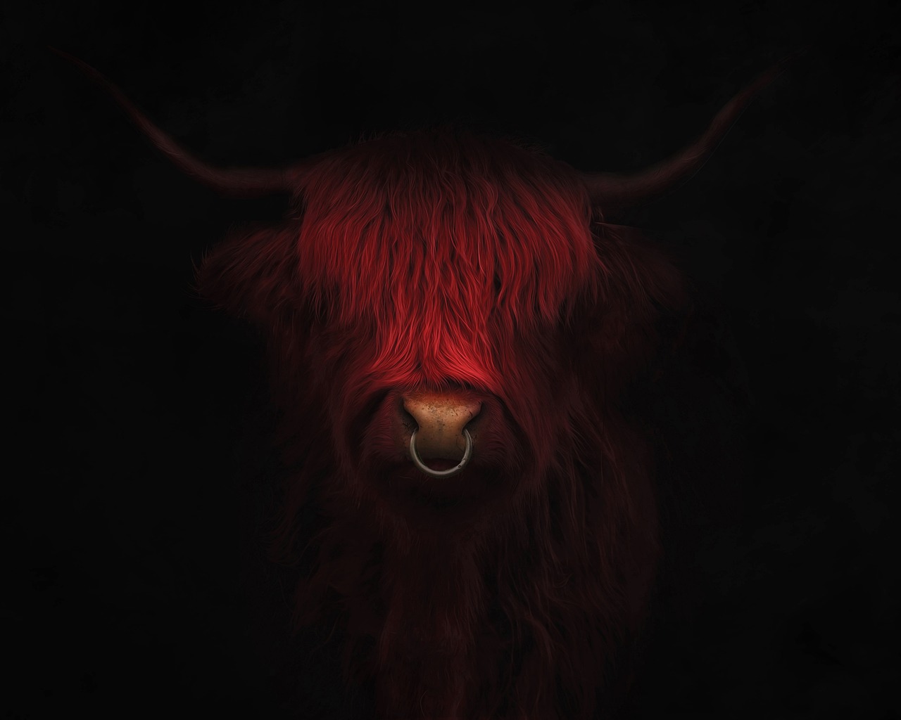 Bull Wilderness Animal - Free photo on Pixabay