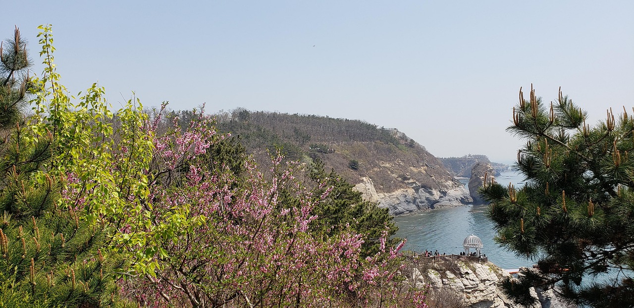 Dalian Praia Planta - Foto gratuita no Pixabay - Pixabay