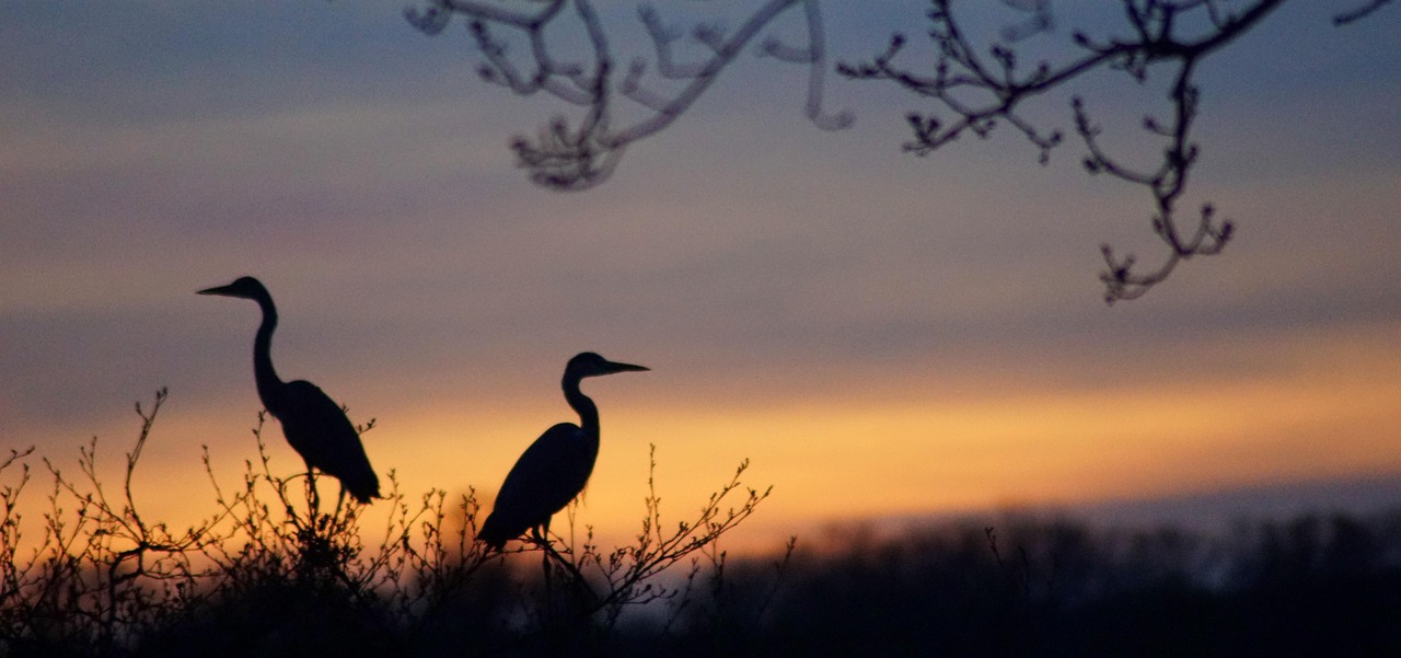 40,000+ Free Peaceful Sanctuary & Sanctuary Images - Pixabay
