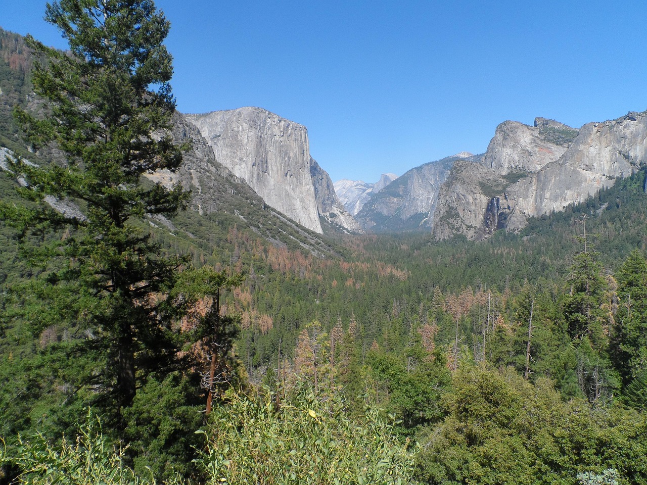 Antecedentes Del Parque Nacional De Yosemite