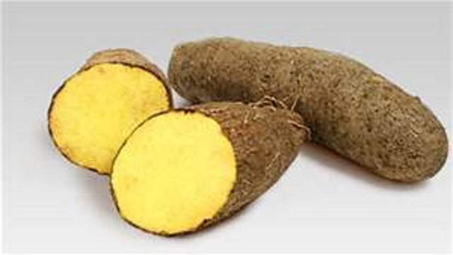 Africanyam Batata - Foto gratis en Pixabay - Pixabay