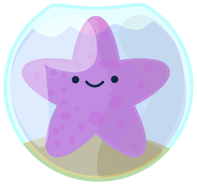 Starfish Beach Clip Art