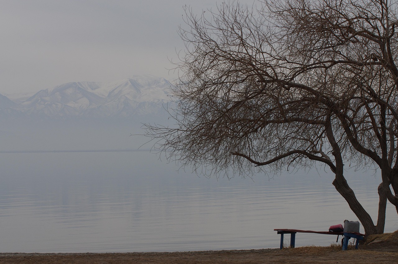 Bench Lake Trees - Free photo on Pixabay - Pixabay