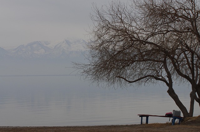 Bench Lake Trees - Free photo on Pixabay - Pixabay