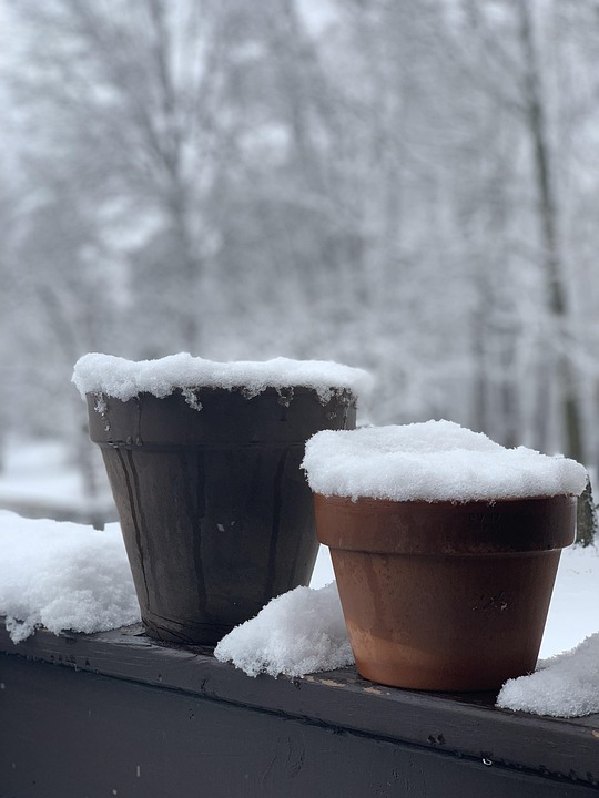 Flower Pot Winter Nature - Free photo on Pixabay - Pixabay