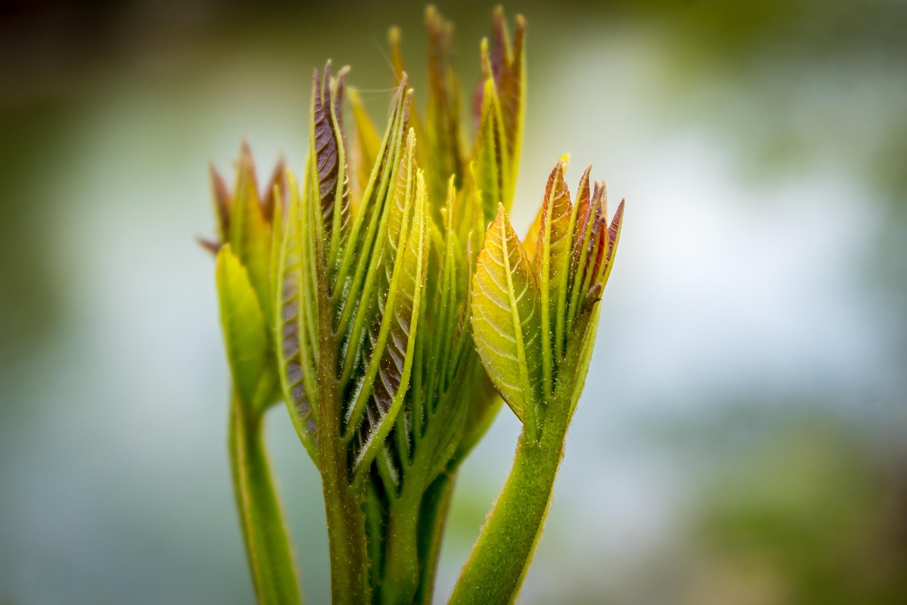 40+ Free First Of May & May Images - Pixabay