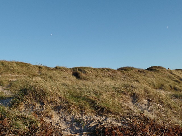 Danemark Plage La Mer Du Nord Le - Photo gratuite sur Pixabay - Pixabay