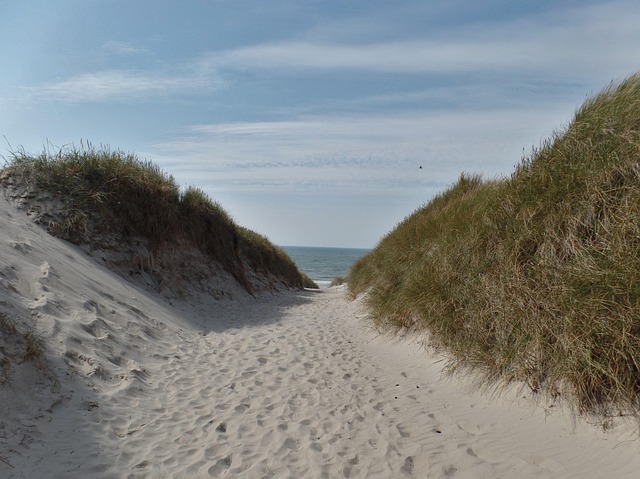 Danemark Plage La Mer Du Nord Le - Photo gratuite sur Pixabay - Pixabay