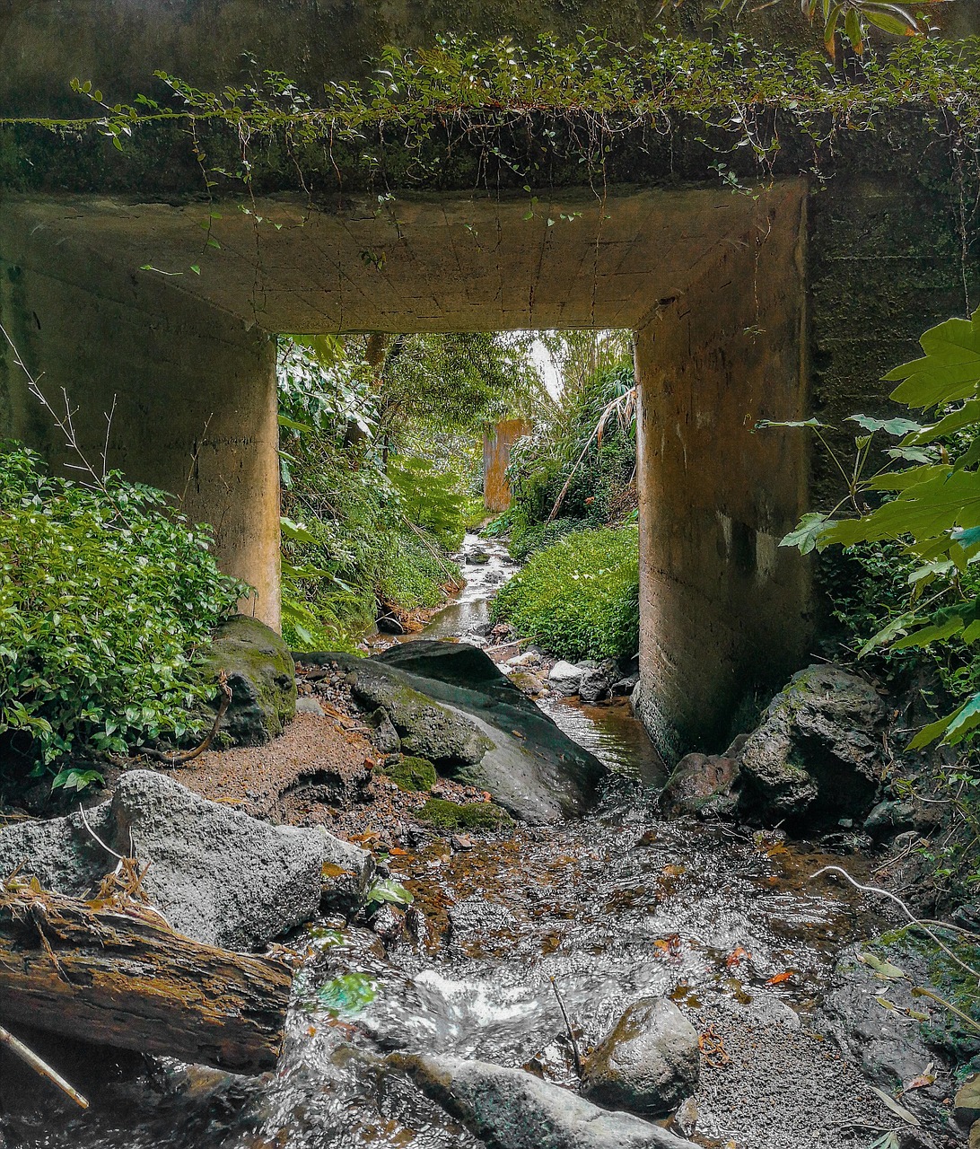 Nature Rock Bridge - Free photo on Pixabay - Pixabay