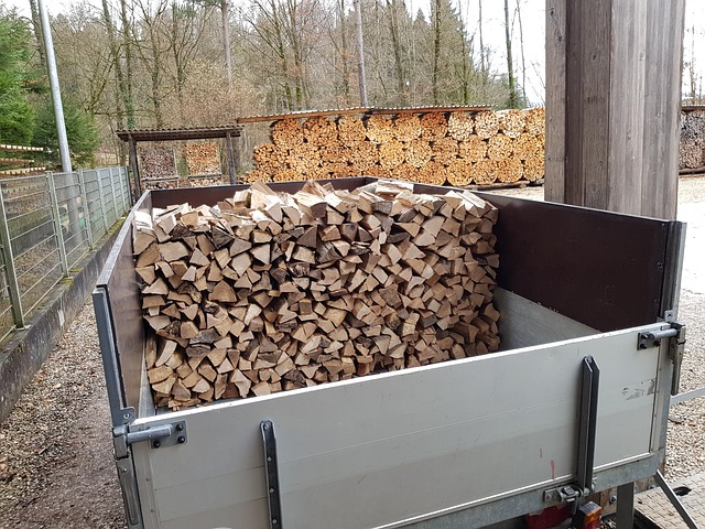 Firewood Forsthof - Free photo on Pixabay - Pixabay