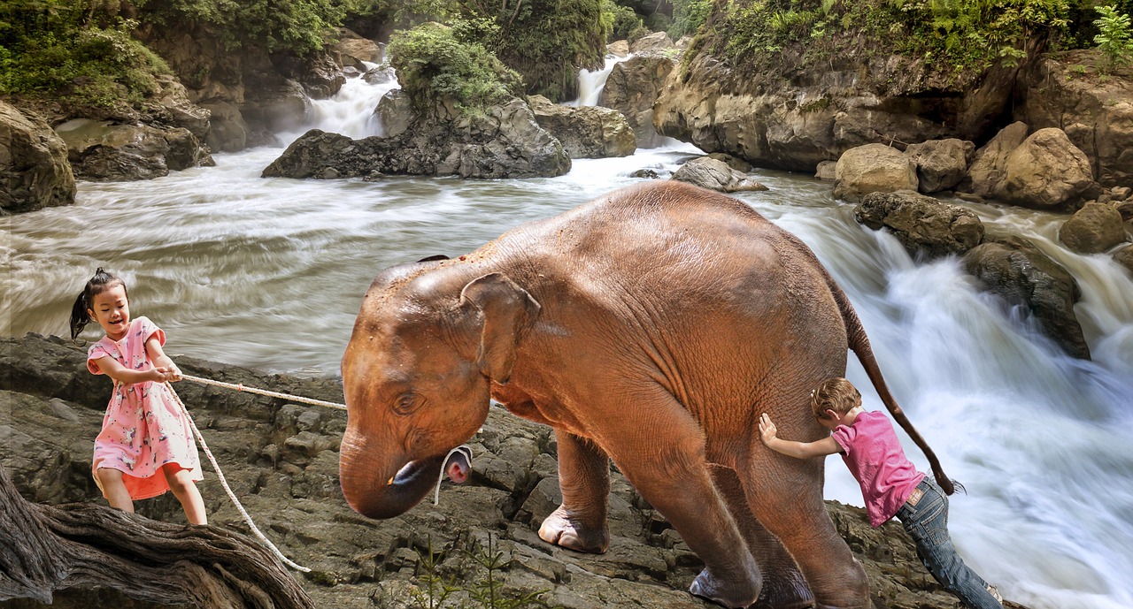 Team Children Elephant - Free photo on Pixabay - Pixabay
