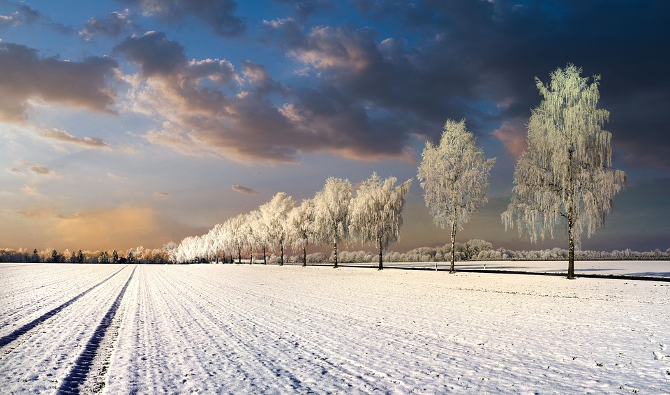 Snow Field Landscape - Free photo on Pixabay