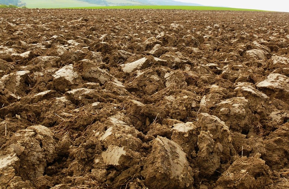 Soil Field Poorané - Free photo on Pixabay - Pixabay