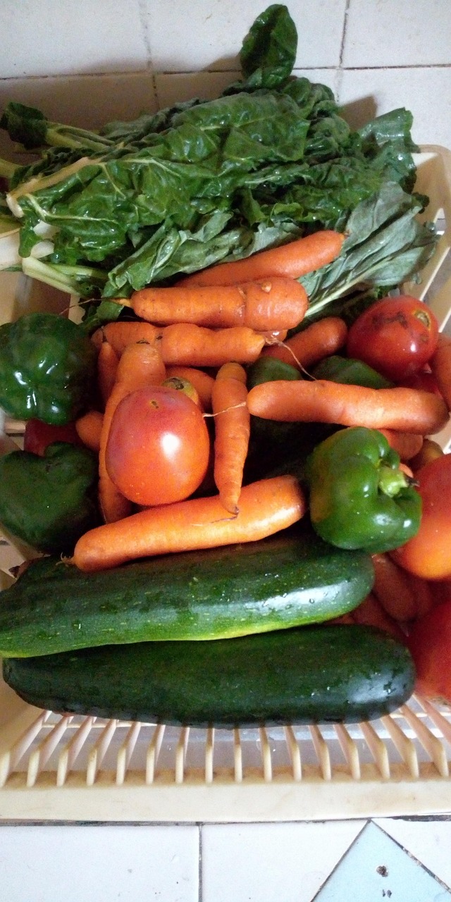 Des Légumes Choux Les Carottes - Photo gratuite sur Pixabay - Pixabay