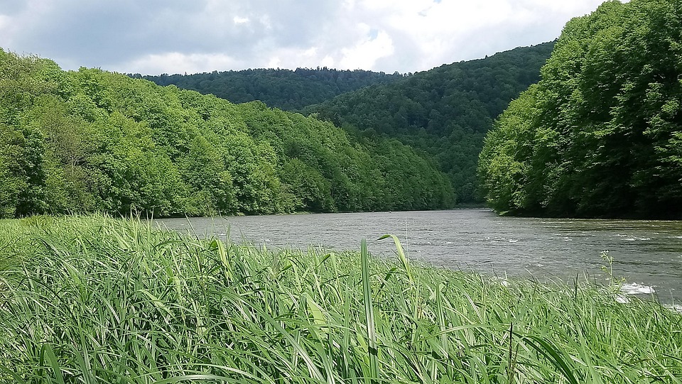 Summer River San Free Photo On Pixabay Pixabay