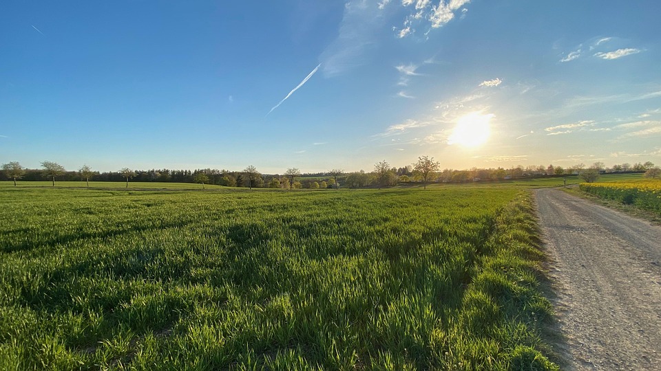Evening Sun Field Nature - Free photo on Pixabay
